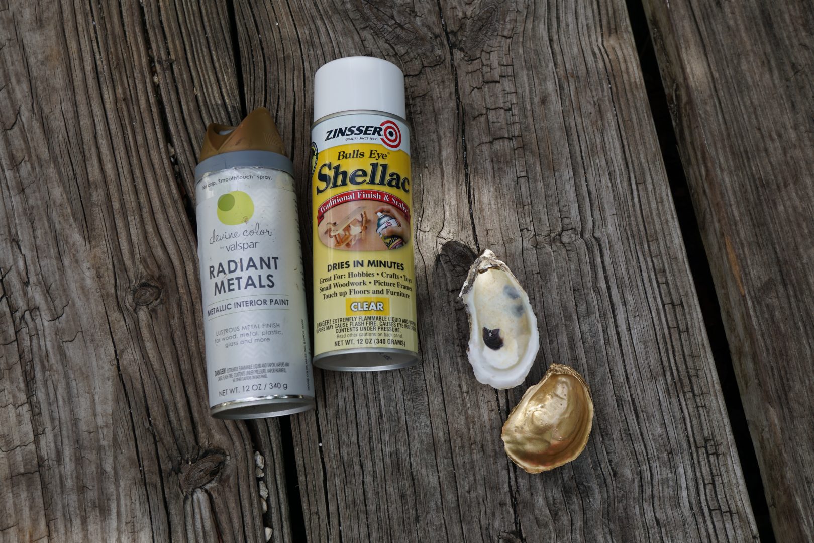 DIY Oyster Shell Salt Cellars - Grill Girl