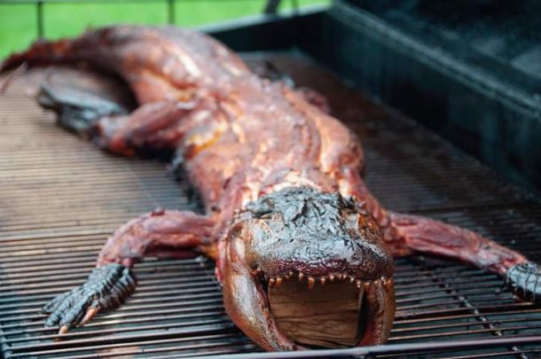 Whole Smoked Alligator Recipe - Grill Girl