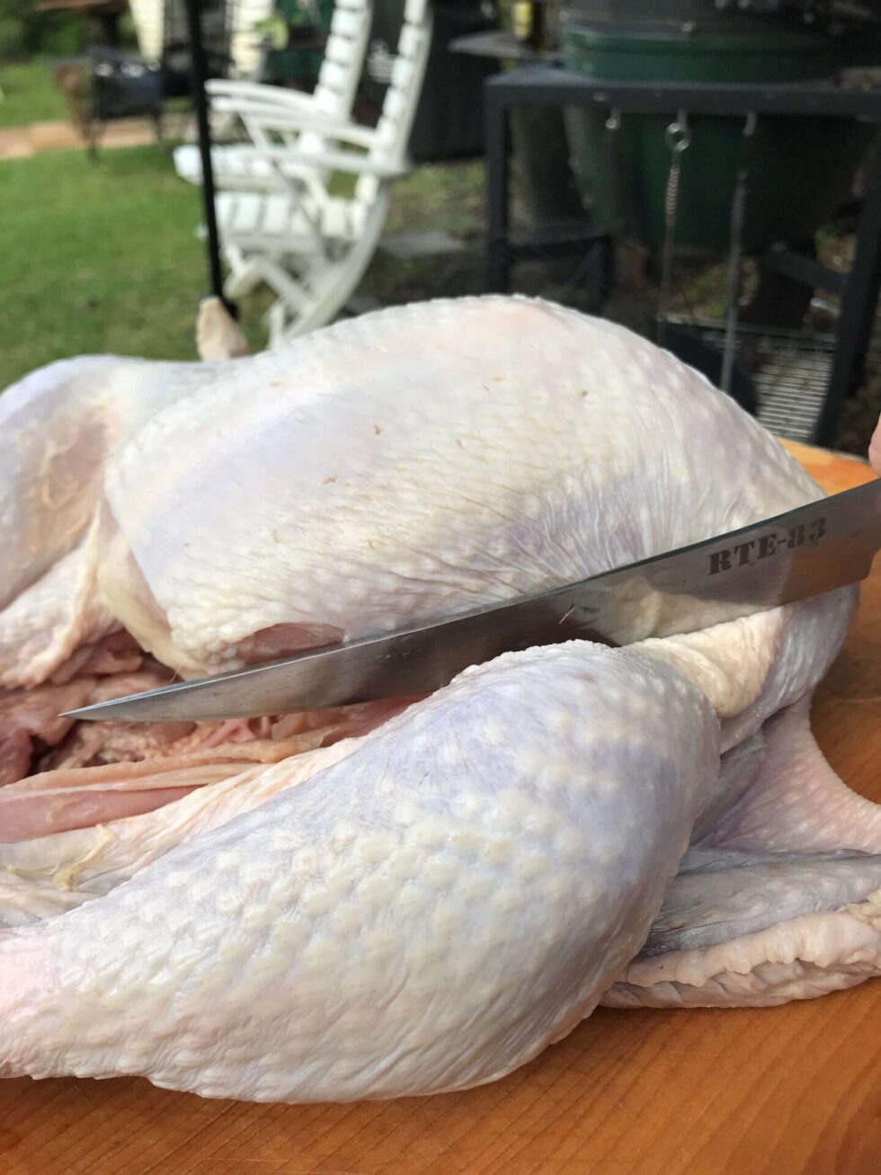 Frog Turkey | GrillGirl