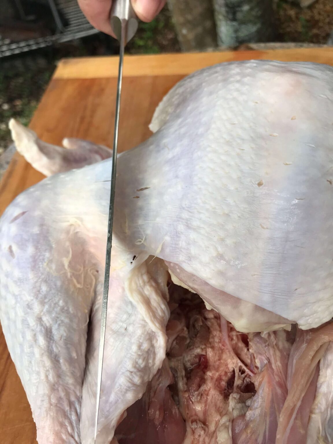 Frog Turkey | GrillGirl