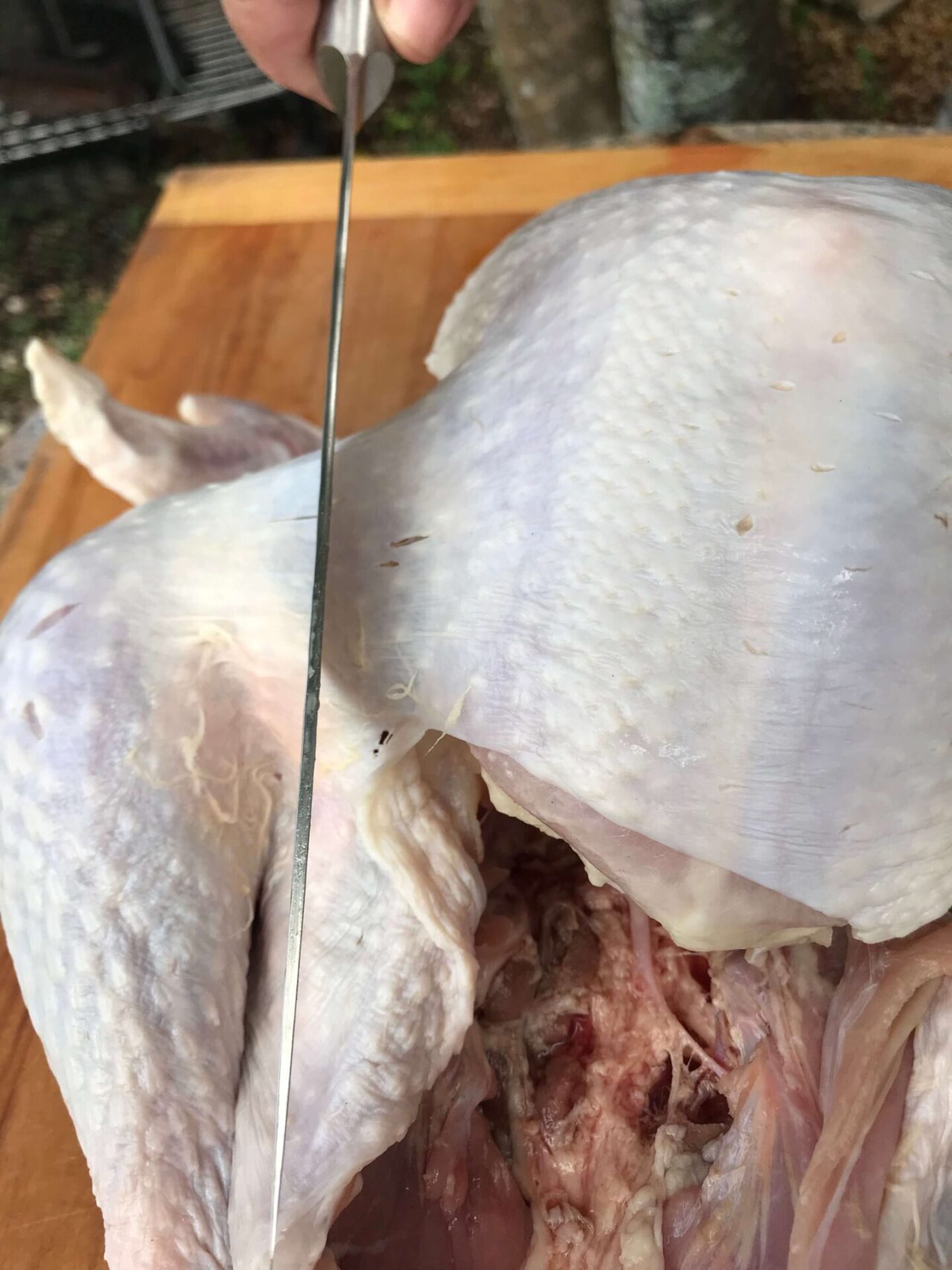 Frog Turkey | GrillGirl